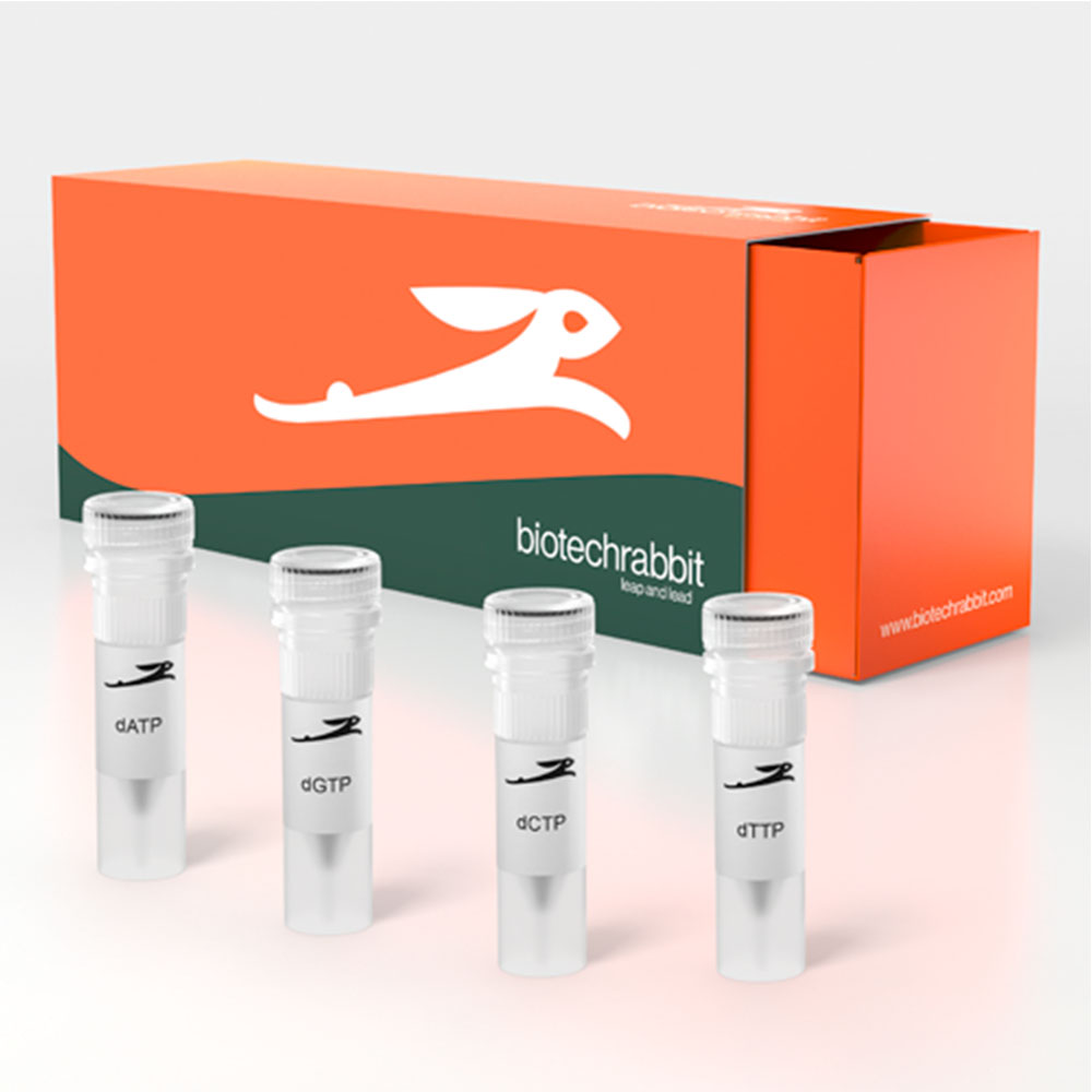 dNTP Set, 100 mM solutions (4 × 1 ml) | Westburg Life Sciences