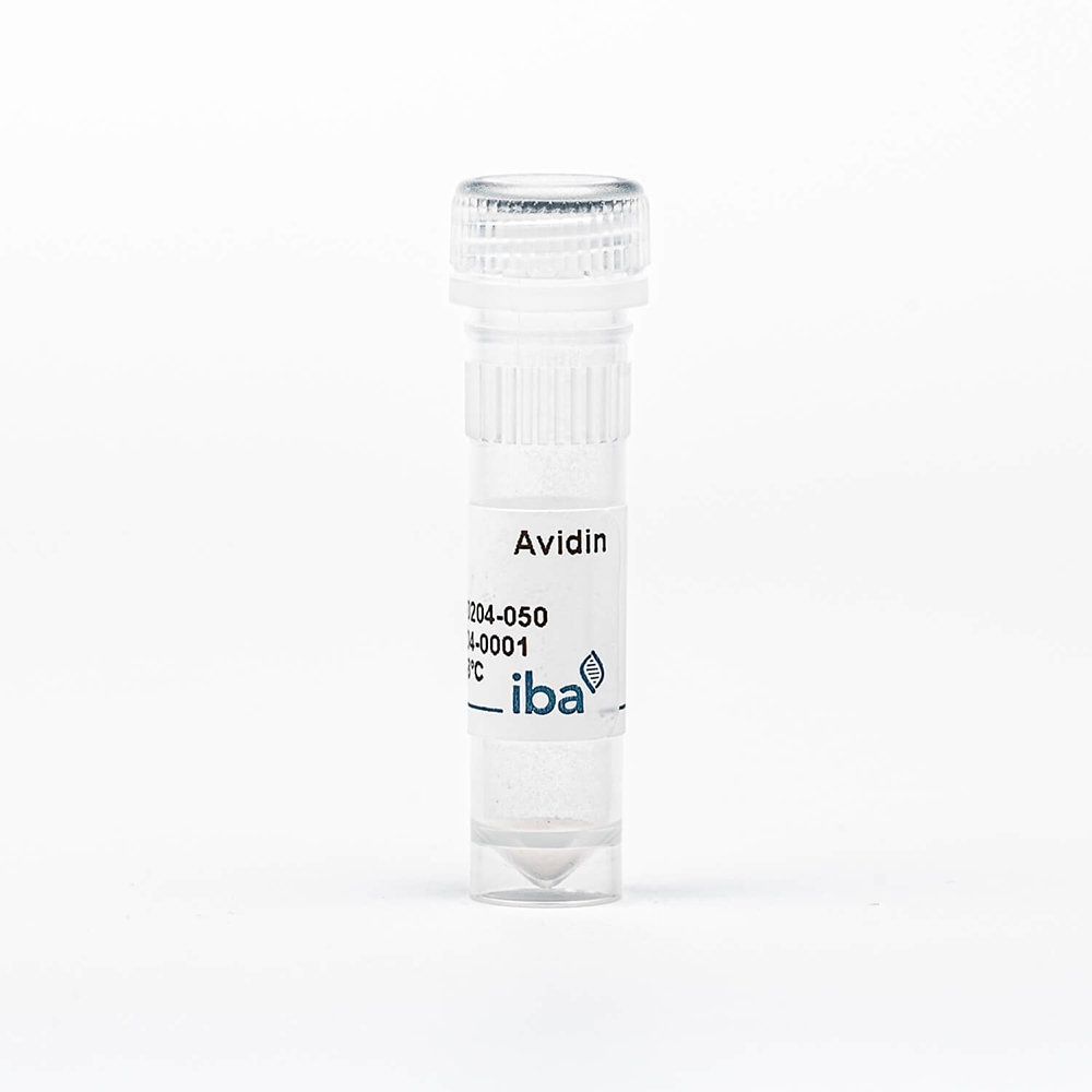 Avidin 50mg | Westburg Life Sciences