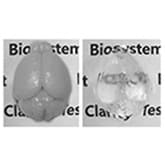 X-CLARITY Tissue Clearing System II Starter Kit | Westburg Life Sciences