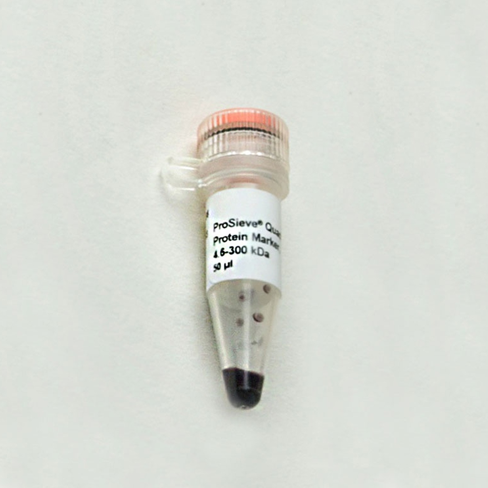 Lonza ProSieve Quad Color Protein Marker 500ul sku 193837 | Westburg ...