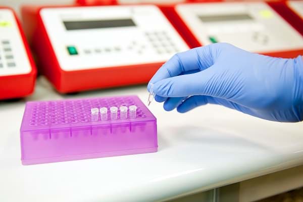 PCR and qPCR | Westburg Life Sciences