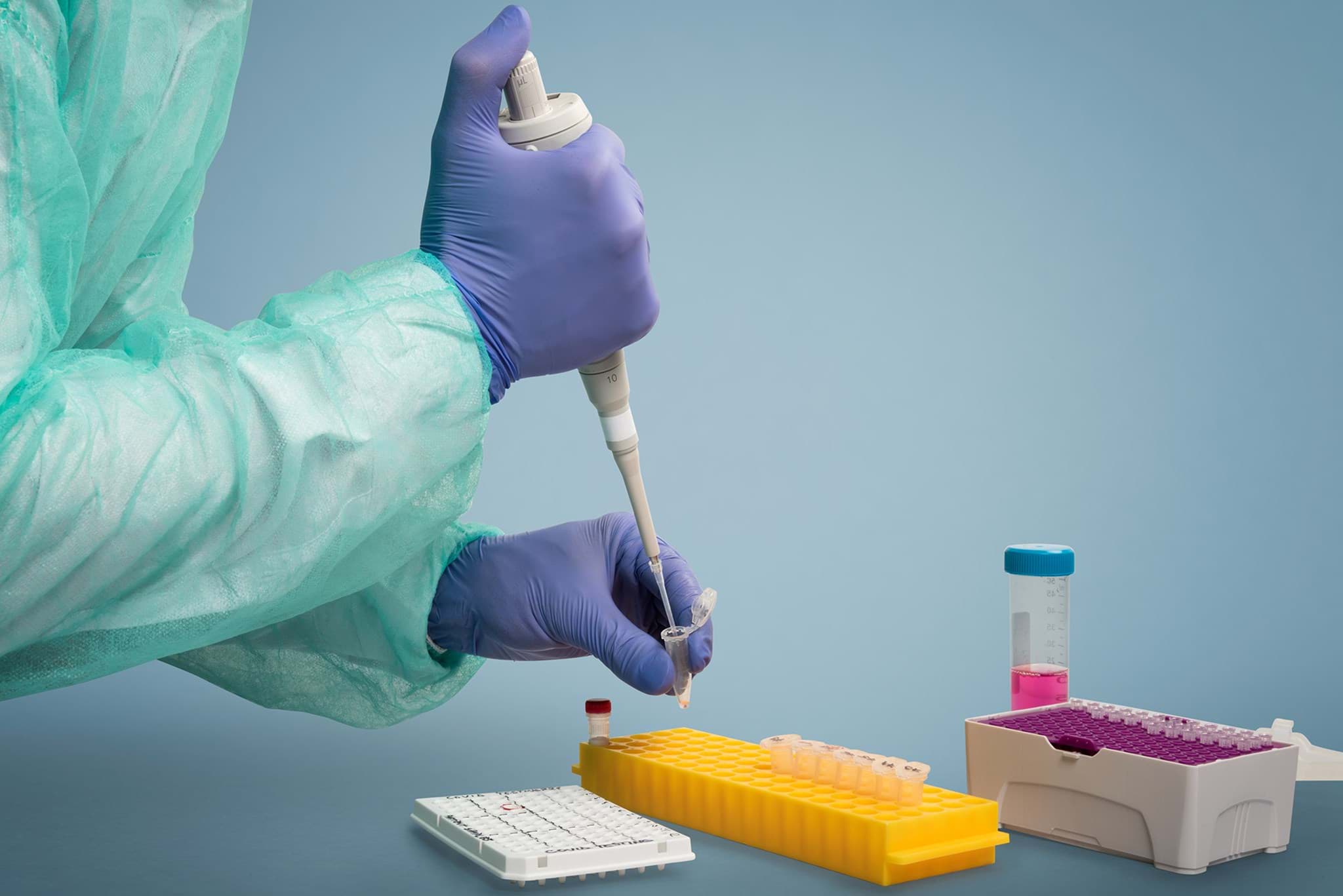 How to optimize qPCR in 9 steps? | Westburg Life Sciences