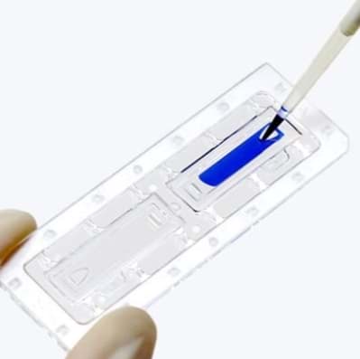 Cell counting slides for cell counters from Logos Biosystems | Westburg ...