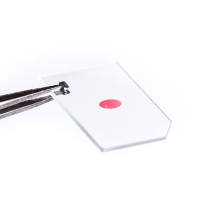 SPR Sensors | Westburg Life Sciences