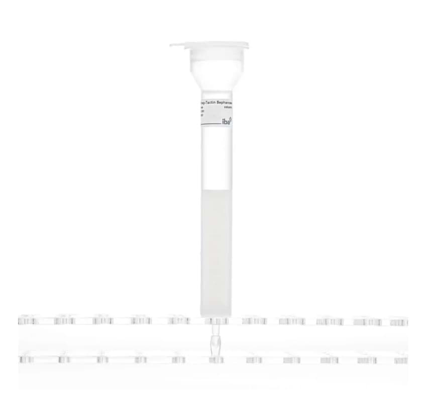Purification Colomn | Westburg Life Sciences