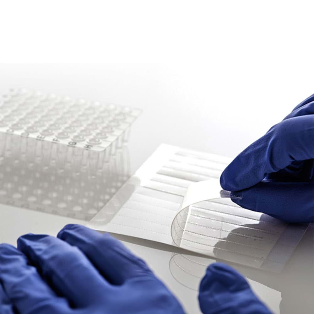 AmpliStar Adhesive PCR Film Seals - 100 sheets | Westburg Life Sciences