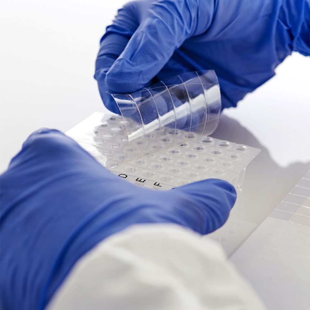 AmpliStar Adhesive PCR Film Seals - 100 sheets | Westburg Life Sciences