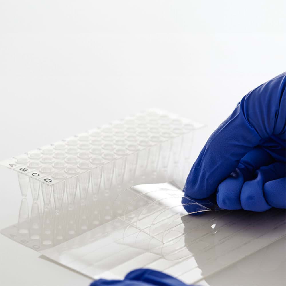 AmpliStar Adhesive PCR Film Seals - 100 sheets | Westburg Life Sciences