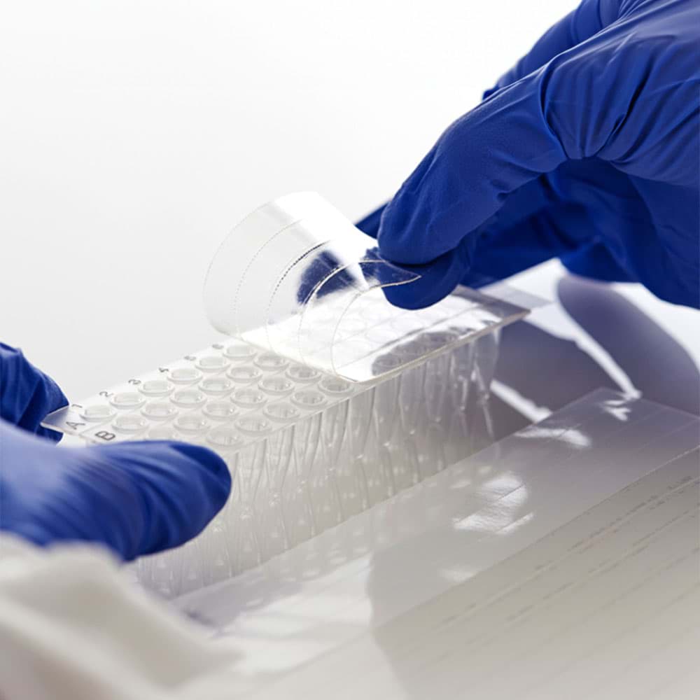AmpliStar Adhesive PCR Film Seals - 100 sheets | Westburg Life Sciences