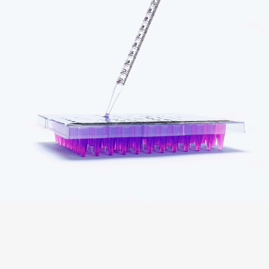 AmpliStar Adhesive PCR Foil Seal for raised-rim plates - 100 sheets ...